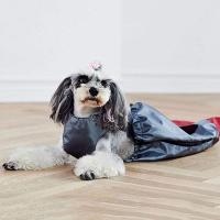 China Breathable Dog Drag Bag for Paralyzed Pets Carrier Bag Protect Chest Limbs 100g for sale