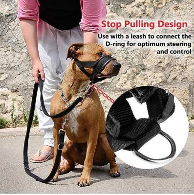 China Nylon Dog Muzzle Collar Leash Harness Set Soft Padded Dog Mouth Cover Anti Bite for sale