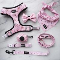 China Soft Mesh Nylon Pattern Dog Collar and Leash Set for sale