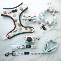 China Soft Mesh Nylon Pattern Dog Collar and Leash Set for sale