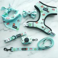 China Soft Mesh Nylon Pattern Dog Collar and Leash Set for sale