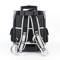 China Telescopic Handle Pet Travel Carrier Backpack Trolley For Small Dogs And Cats for sale