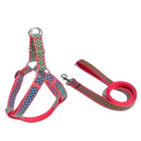 China Dog Leash Pet Dog Collars Soft Neoprene Pets Accessories Reflective Exclusive Pet Rope Harness Leash Set for sale