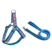 China Dog Leash Pet Dog Collars Soft Neoprene Pets Accessories Reflective Exclusive Pet Rope Harness Leash Set for sale