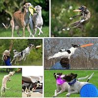 China Silica Gel Outdoor Dog Flying Disk Dog Fetch Training Toy for sale