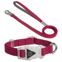 China Led Dog Pet Collars Leash Set Adjustable Decorative Nylon Rope Dog Leash Reflective Dog Leash for sale