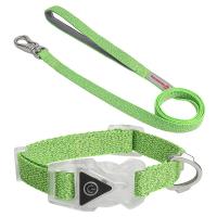 China Led Dog Pet Collars Leash Set Adjustable Decorative Nylon Rope Dog Leash Reflective Dog Leash for sale