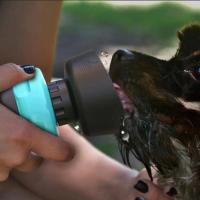 China Clamshell Design Leakproof Pet Dog Drinking Squeeze Water Bottle Portable for sale