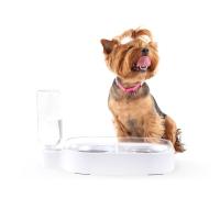 China Professional Automatic Isolated Strake Spill Proof Dog Bowl 2 bowl dog feeder for sale