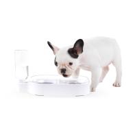 China Professional Automatic Isolated Strake Spill Proof Dog Bowl 2 bowl dog feeder for sale