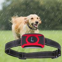 China Innovative Control Pet Training Products No Bark Dog Training Shock Collars for sale