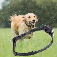 China Innovative Control Pet Training Products No Bark Dog Training Shock Collars for sale