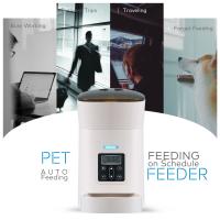 China Pets Automatic Dog Feeder And Water Dispenser With Food Bowl Designed for sale