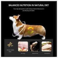 China Natural Colour Dry Pet Food Cat Treats Pvc Bag Bulk Dry Cat Food for sale