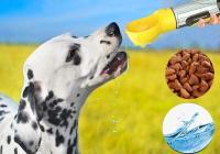 China Mutifunctional 4 In 1 Portable Puppy Water Bottle 300ML For Walking And Travel for sale