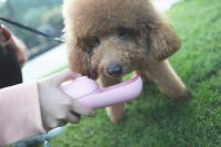 China Pink Foldable Dog Water Bottle Dispenser Small Dog Mini Portable pet Kettle for sale