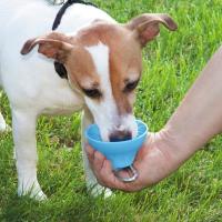 China Detachable Outdoor Silicone Dog Water Bottle And Bowl 400 Ml Pet Drinking Bottle for sale