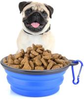 China TPE ABS Carabiner Dog Water Bowl Dog Feeder Foldable For Pets for sale