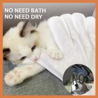 China Dog Cat Custom Deodorizing SPA Grooming Washing Pet Gloves Wipes Alcohol Free for sale