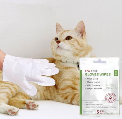 China 5 PCS Disposable No Rinse Pet Cleaning Gloves for Face Body Ear Paws and Butt for sale