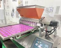 China PLC Candy Making Machine SSS304 Chocolate Gummy Depositor Machine for sale