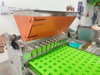 China PLC Candy Making Machine SSS304 Chocolate Gummy Depositor Machine for sale