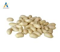 China 200kg Hour Nuts Processing Machine Industrial Kernels Peanut Fryer Machine for sale