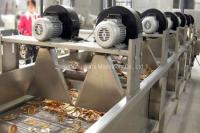 China Kernel Blanching Nuts Processing Machine Walnut Cashew Nut Peeling Machine for sale