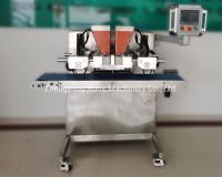 China 6PCS Min Chocolate Pouring Machine 304ss Coating Chocolate Depositing Line for sale