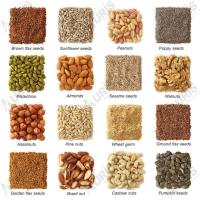 China Vertical Sesame Hydraulic Oil Pressing Machine Walnut Tea See Sunflower Extruding for sale