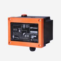 China F20-2S Electric Hoist Remote Control Mini Industrial Electric Hoist Wireless Remote for sale