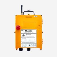 China Industrial Wireless Joystick Remote Control Telecrane F24-60 Manual Overhead Crane for sale