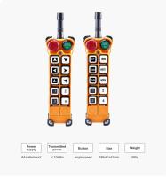 China 10 Buttons Overhead Crane Remote Control F26-B1 Industrial Radio Remote Control Systems for sale