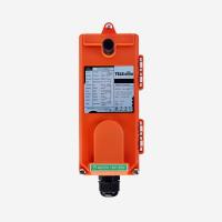 China 6 Single Crane Remote Control Systems Uting Telecrane Wireless Radio Remote Control for sale