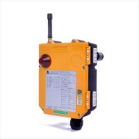 China DC12-24V Telecrane Remote Control F24-8D AC36V 220V RF Hoist Crane Remote Control for sale