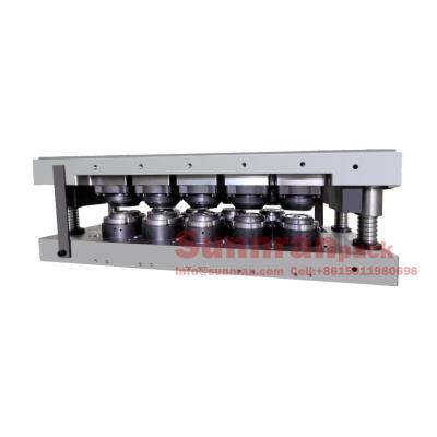 China OEM Food Can Bottom Punching Die Carbide Material 40-120T Stamping with 0.02mm Precision for sale