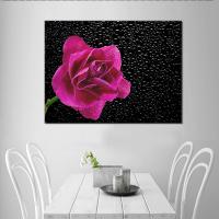 China Big Size Flower Different Images Handmade Oil Painting Canvas Prints For Wall Decoration for sale