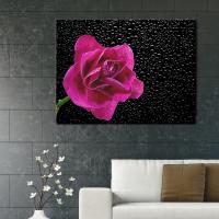 China Big Size Flower Different Images Handmade Oil Painting Canvas Prints For Wall Decoration for sale