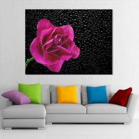 China Big Size Flower Different Images Handmade Oil Painting Canvas Prints For Wall Decoration for sale