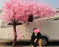 China Popular Artificial Flower For Event Decor Cherry Blossoms In Pink Color Best Sales for sale