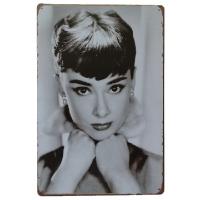 China 20*30cm Rectangular Custom Made Metal Poster, Metal Wall Rock Metal Tin Sign for sale