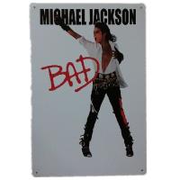 China Premium Character design Tin Signs, Rectangular Metal Advertising Tin Sign For Poster Wall for sale