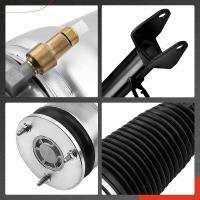 China 6006351-00-C Model S Tesla Air Suspension Strut Front Suspension Shock Absorber for sale