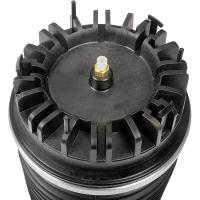 China 2019-2020 Classic Dodge Ram 1500 Air Suspension Air Spring 4877136AB for sale