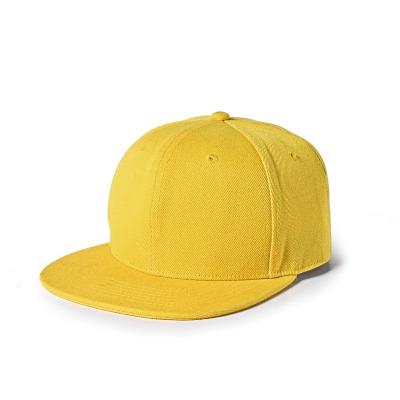 China Custom Embroidery Logo Snapback Caps 54cm Kids Cotton Acrylic Flat Bill Hat for sale