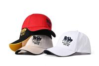 China 6 Panel Flexi Fit Baseball Caps Curve Brim 3D Embroidered Logo for sale