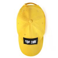 China 6 Panel Outdoor Embroidery Baseball Caps Unisex Plastic Button OEM for sale