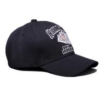 China Custom OEM Curved Brim Baseball Caps 6 Panel Cotton Sweatband Polyester Mesh for sale