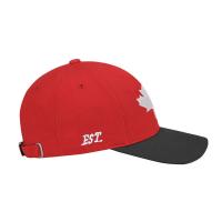 China OEM ODM Embroidered Baseball Caps 100% Cotton 56cm 58cm Unisex Outdoor Fashion Hats for sale
