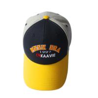 China 5 Panel Custom Embroidered Dad Caps 56cm 58cm Custom Logo Curve Brim for sale